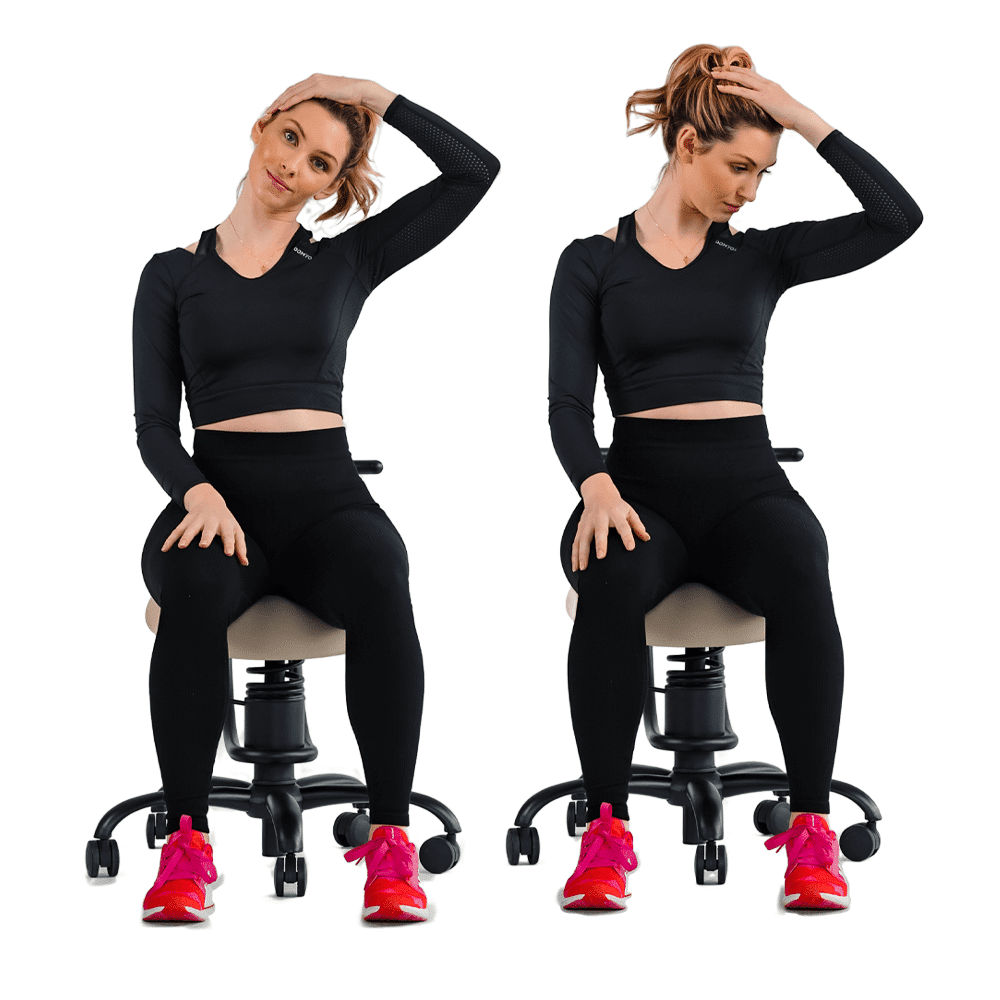 - Pisarniški stoli Spinalis