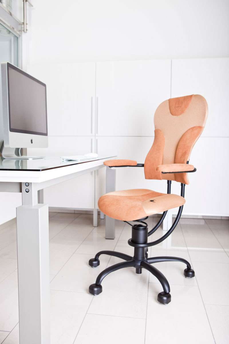 SpinaliS SPIDER - Pisarniški stoli Spinalis